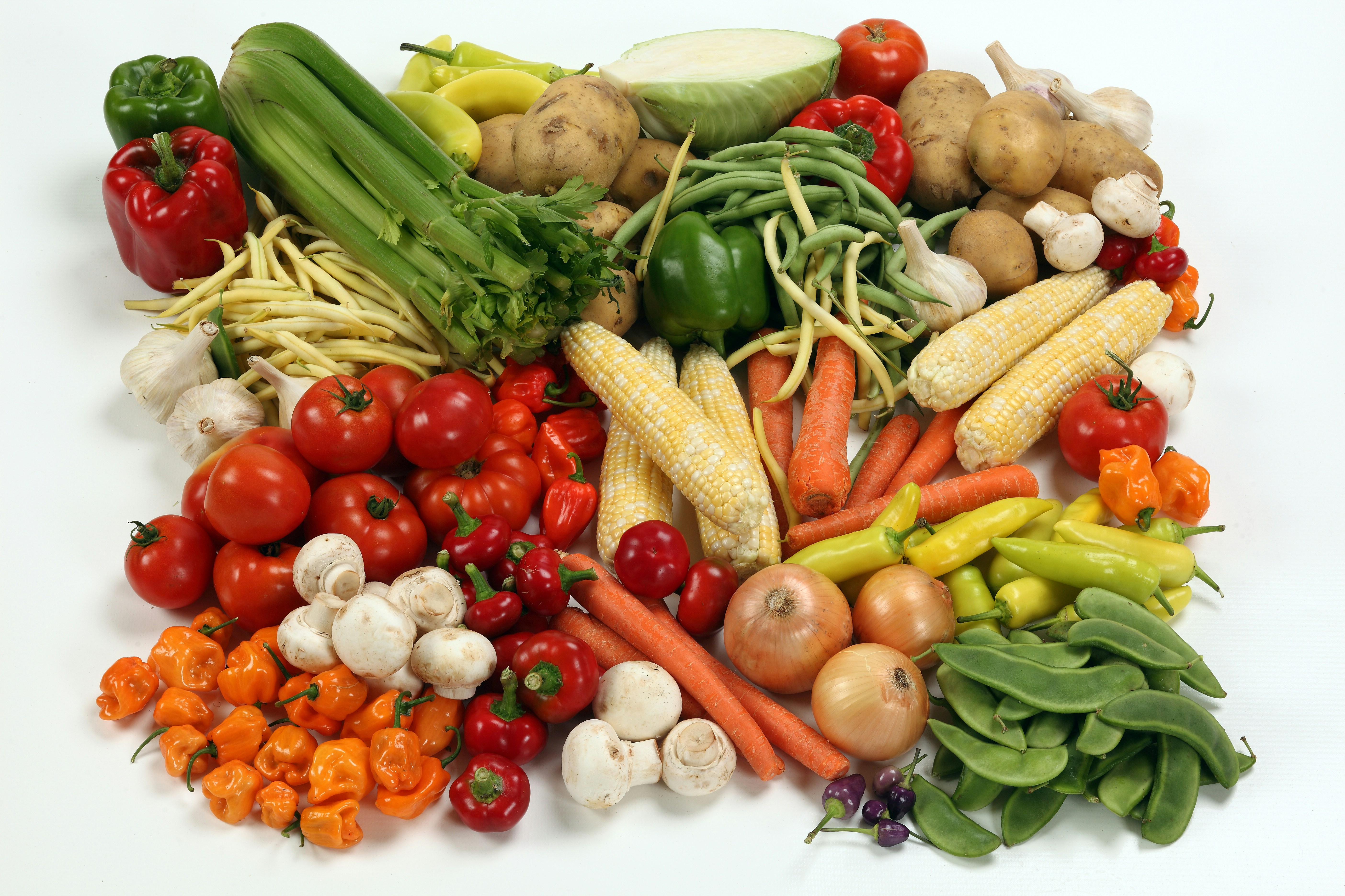 Your Longevity Diet: What to Eat (and When) for Maximum Impact